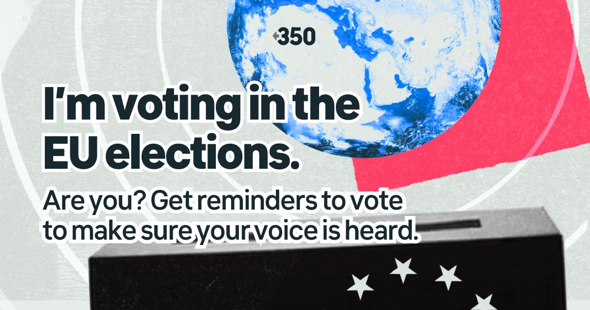 How to vote in the EU elections - 350